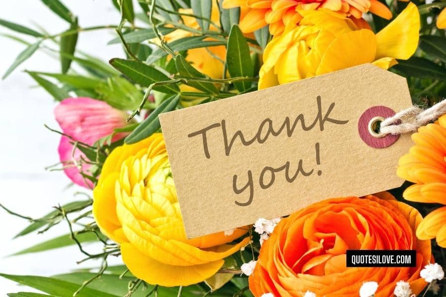 Thank You for Being My Life Partner Quotes - Quotes I Love