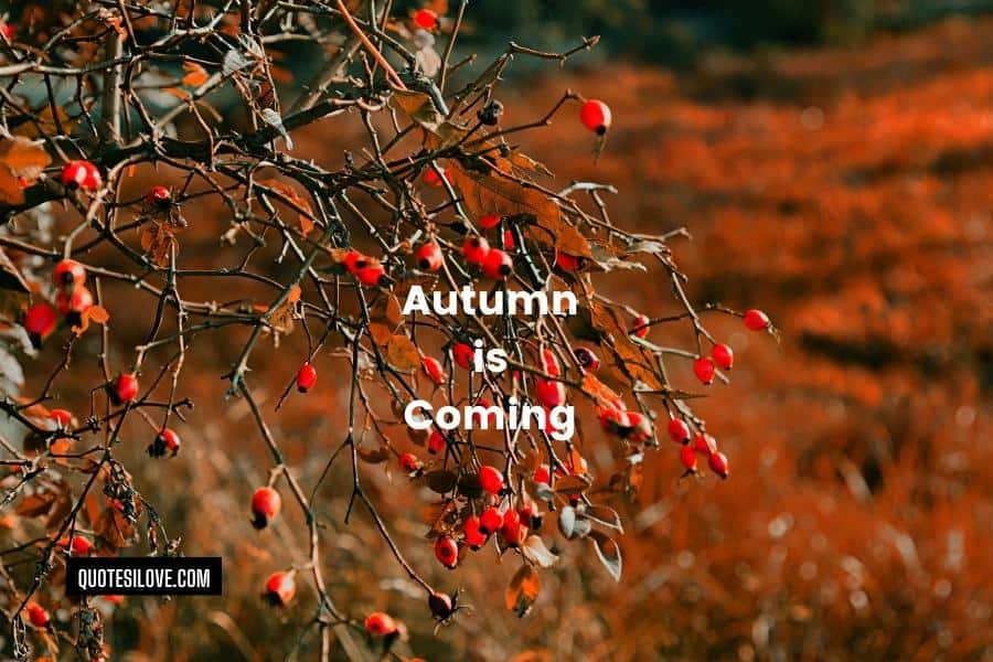 Autumn is Coming Quotes - Quotes I Love