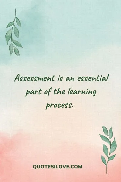 Quotes About Assessment in Education - Quotes I Love