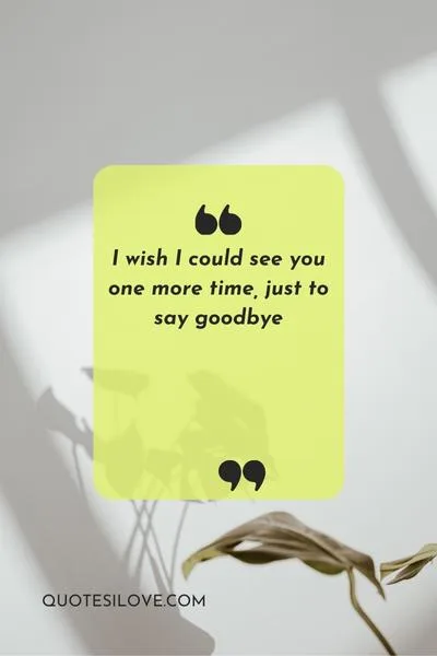 I Wish I Could See You One More Time Quotes - Quotes I Love