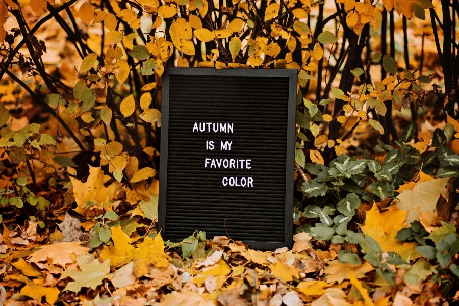Fall Is Proof That Change Is Beautiful Quotes - Quotes I Love